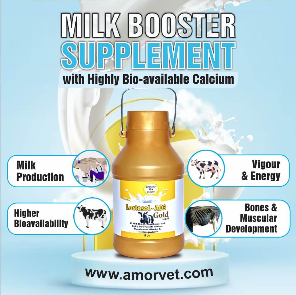Boost Cattle Milk Production with LACTOSOL-AD3 GOLD Liquid: A Modern ...